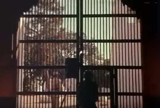 Guide Part 2: The Actual Film (Well, The Beginning of It ...