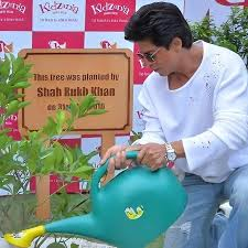 TGIF: Tree Photos! In Honor of Arbor Day! | dontcallitbollywood