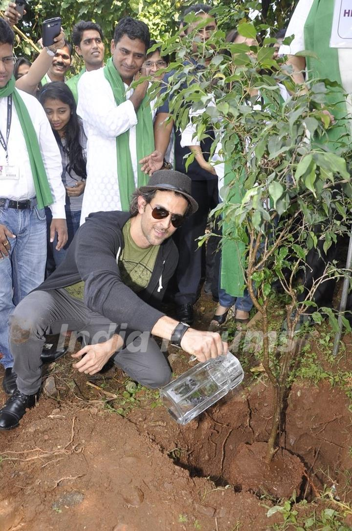 TGIF: Tree Photos! In Honor of Arbor Day! | dontcallitbollywood